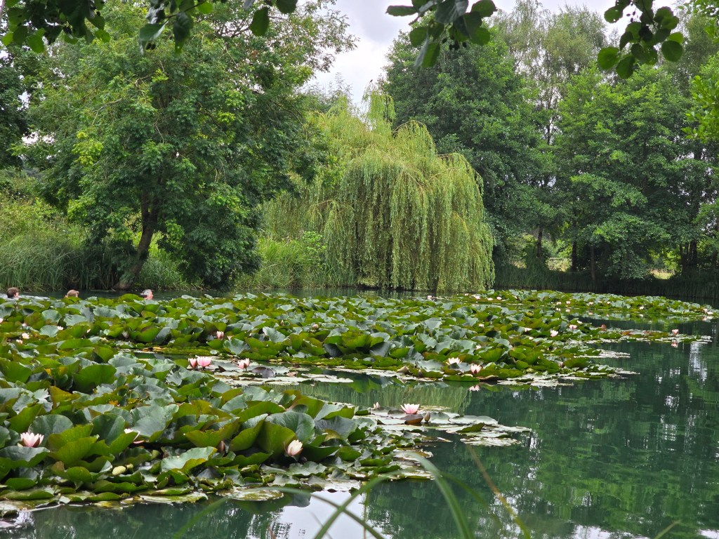 Wild Swimming near York - Pool Bridge Farm - Pool Bridge Farm